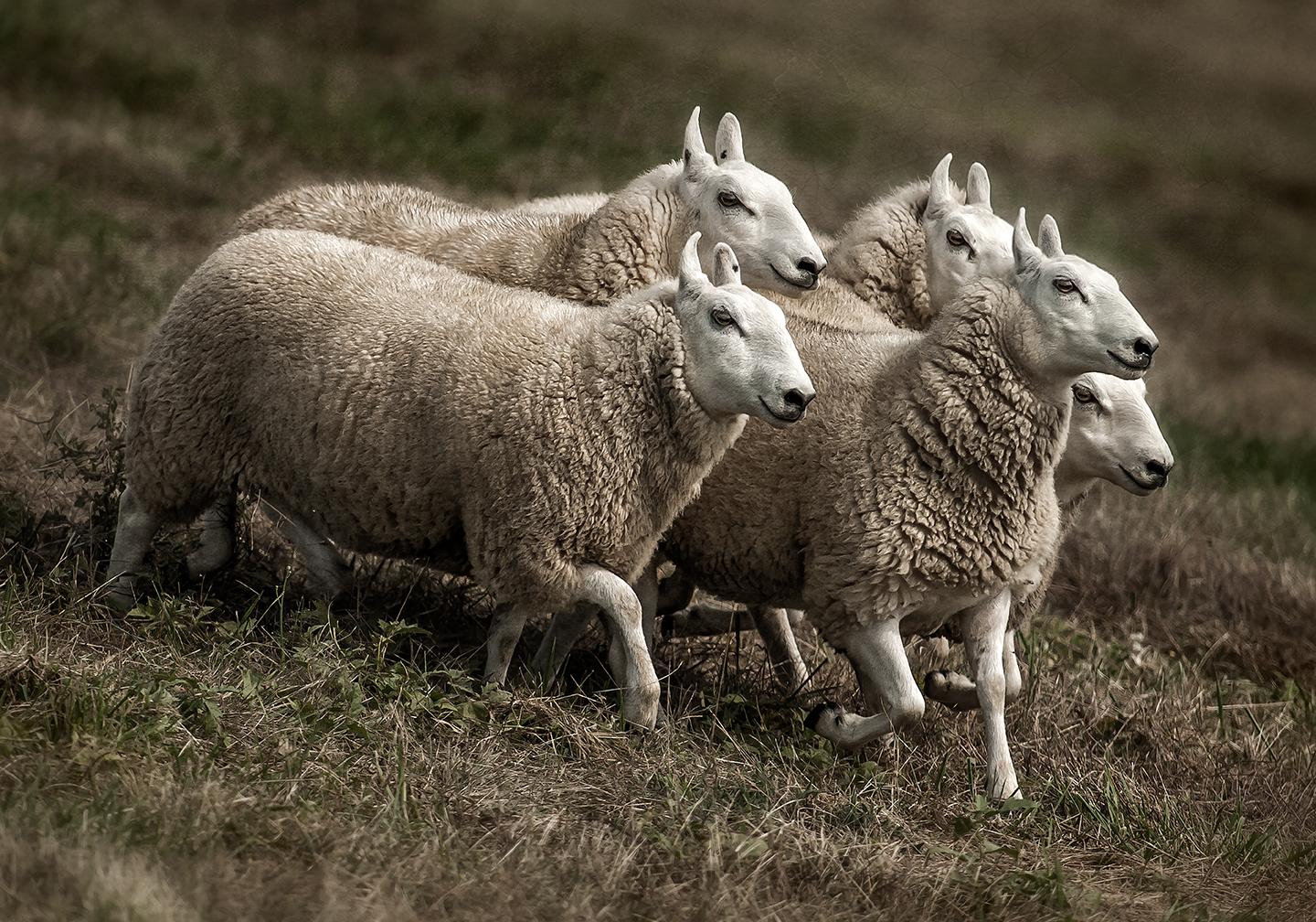 In A Group – Dan Routh Photography