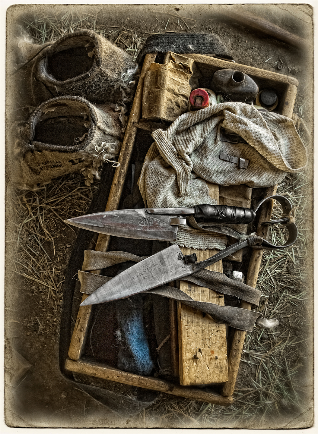 Shearing Tools – Dan Routh Photography