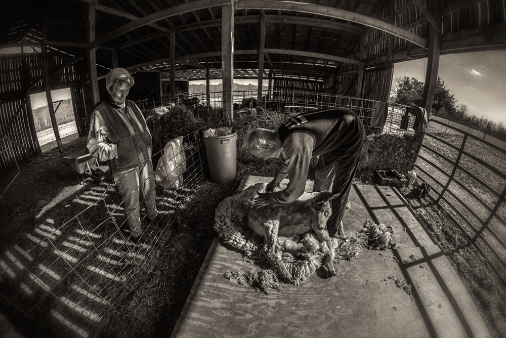 Shearing Barn – Dan Routh Photography
