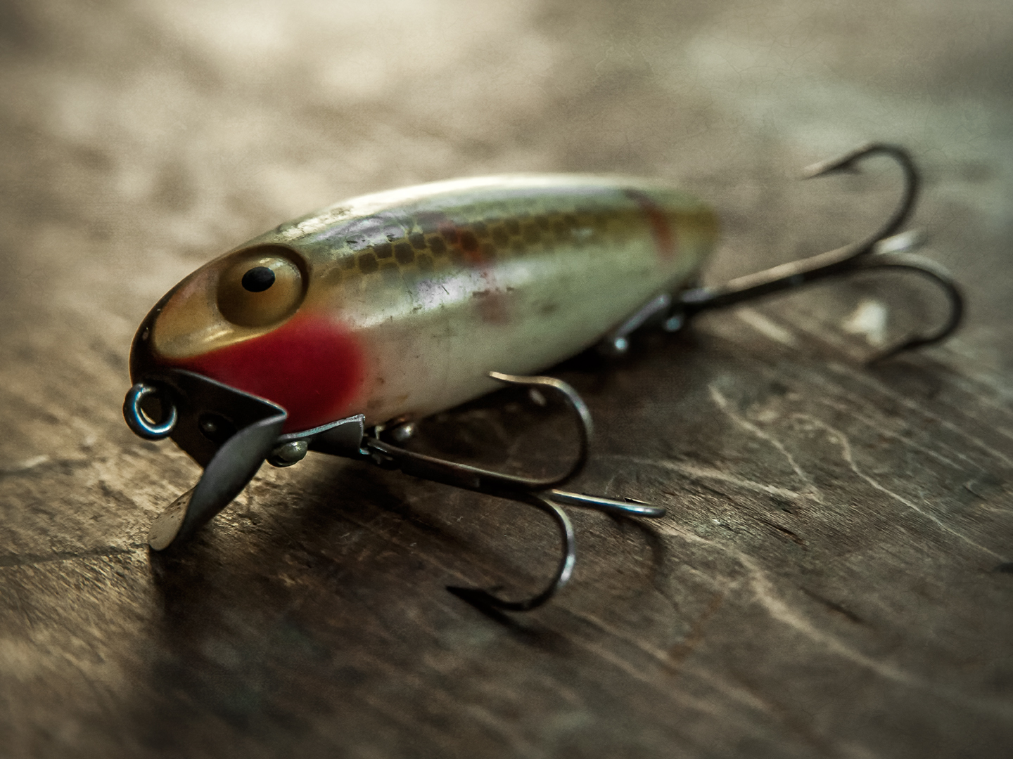 Fishing Plug – Dan Routh Photography