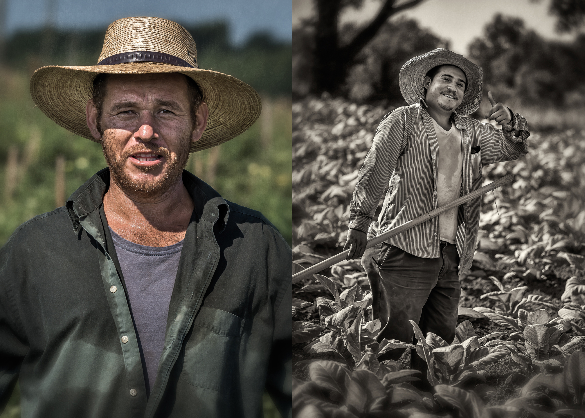 Farm Workers – Dan Routh Photography