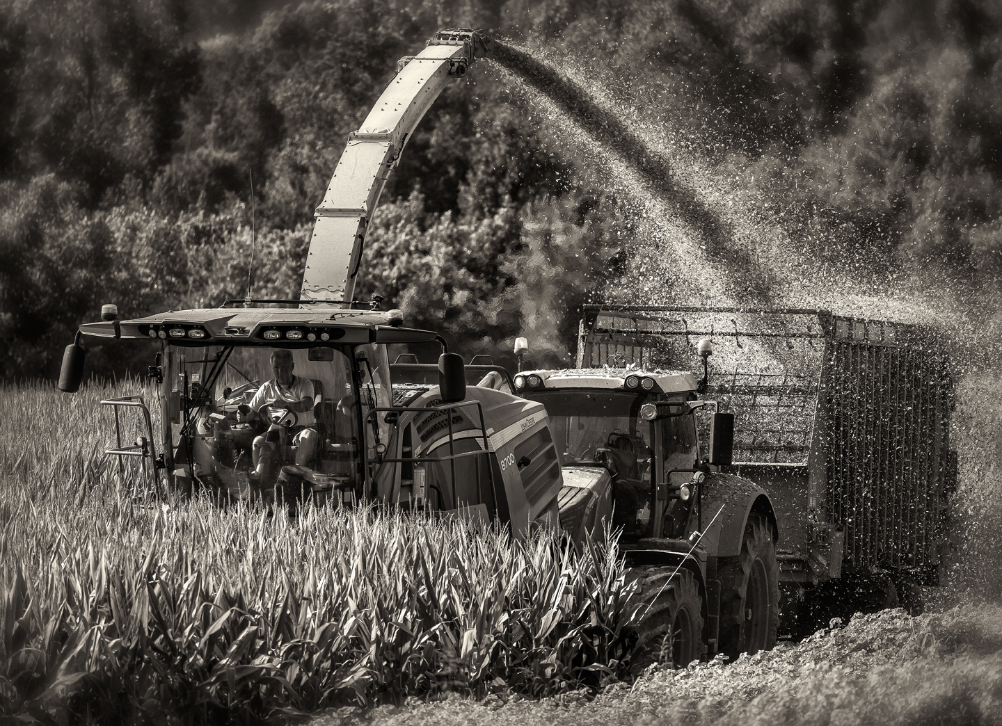 Chopping Silage – Dan Routh Photography