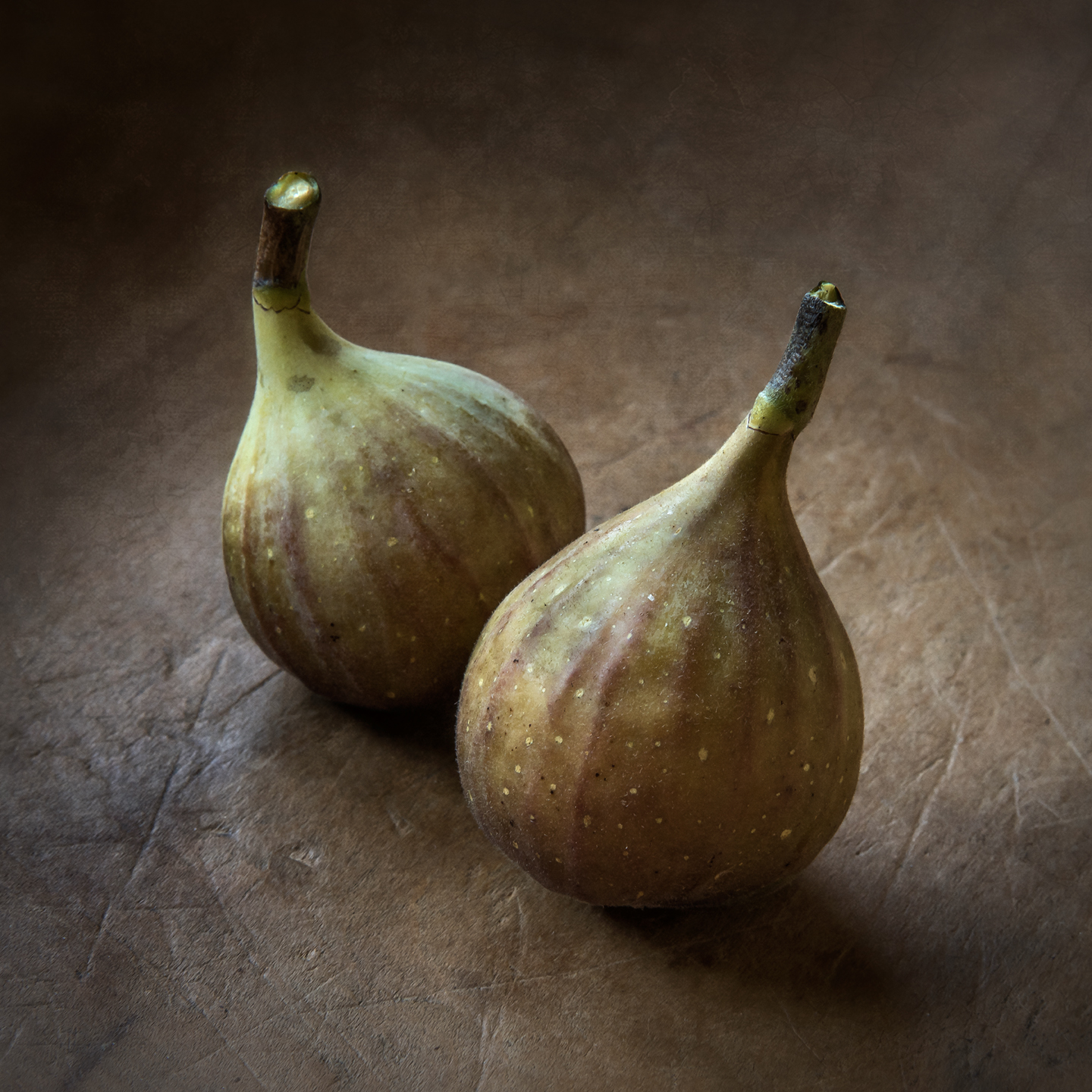 Figs – Dan Routh Photography
