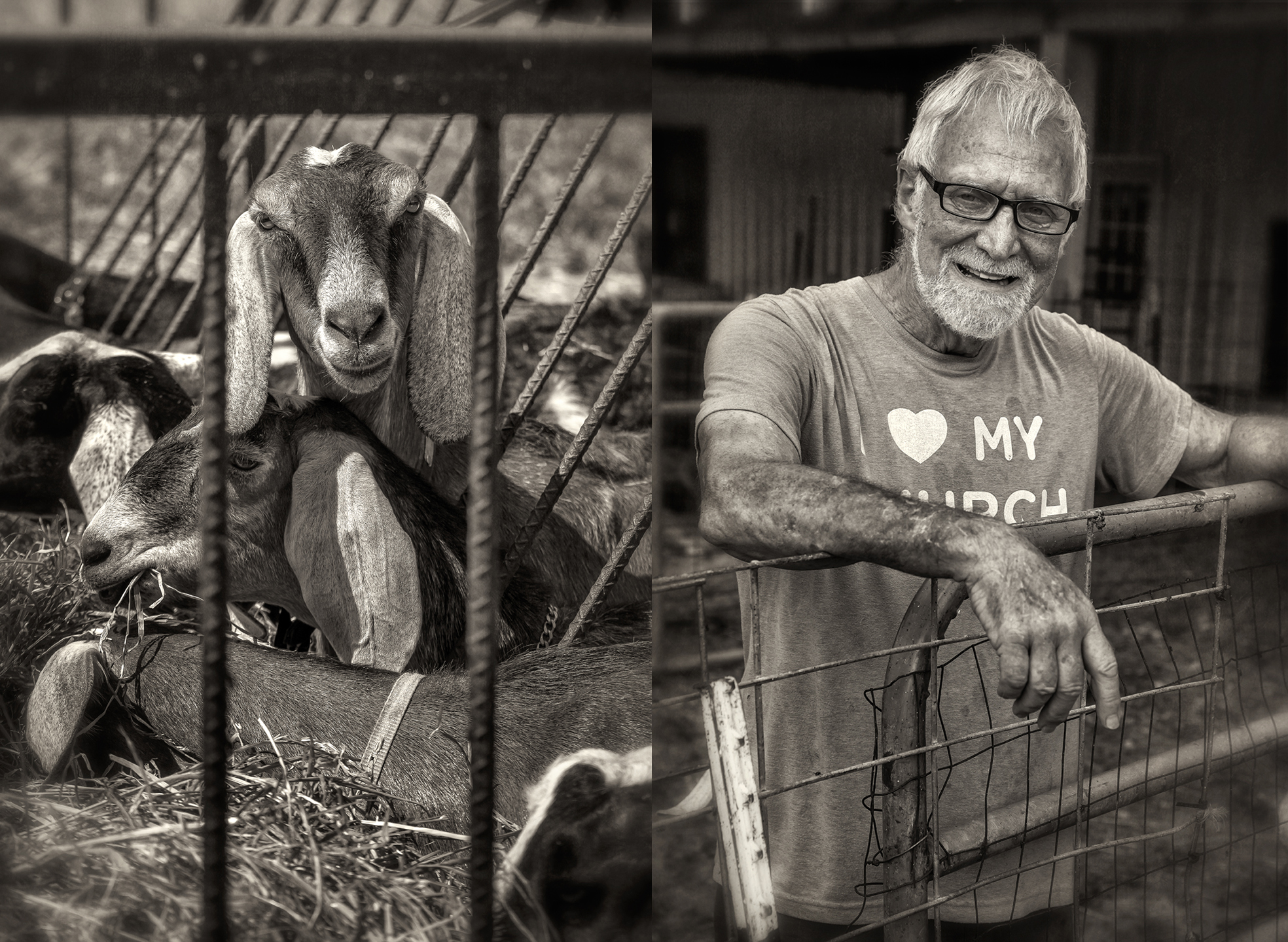 Stillwater Farm – Dan Routh Photography