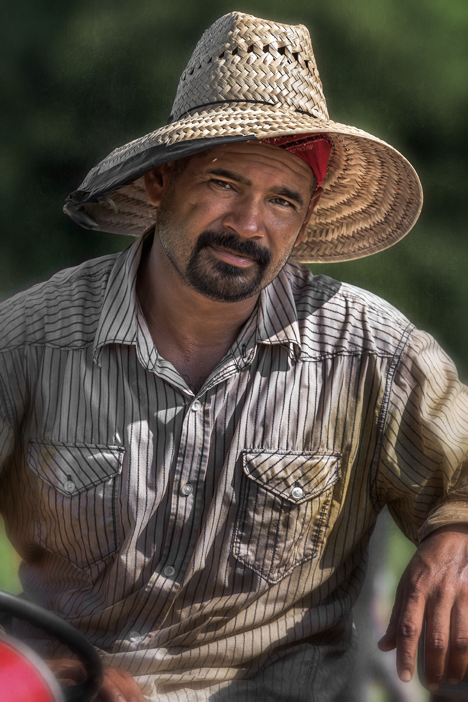 Farm Portraits – Dan Routh Photography
