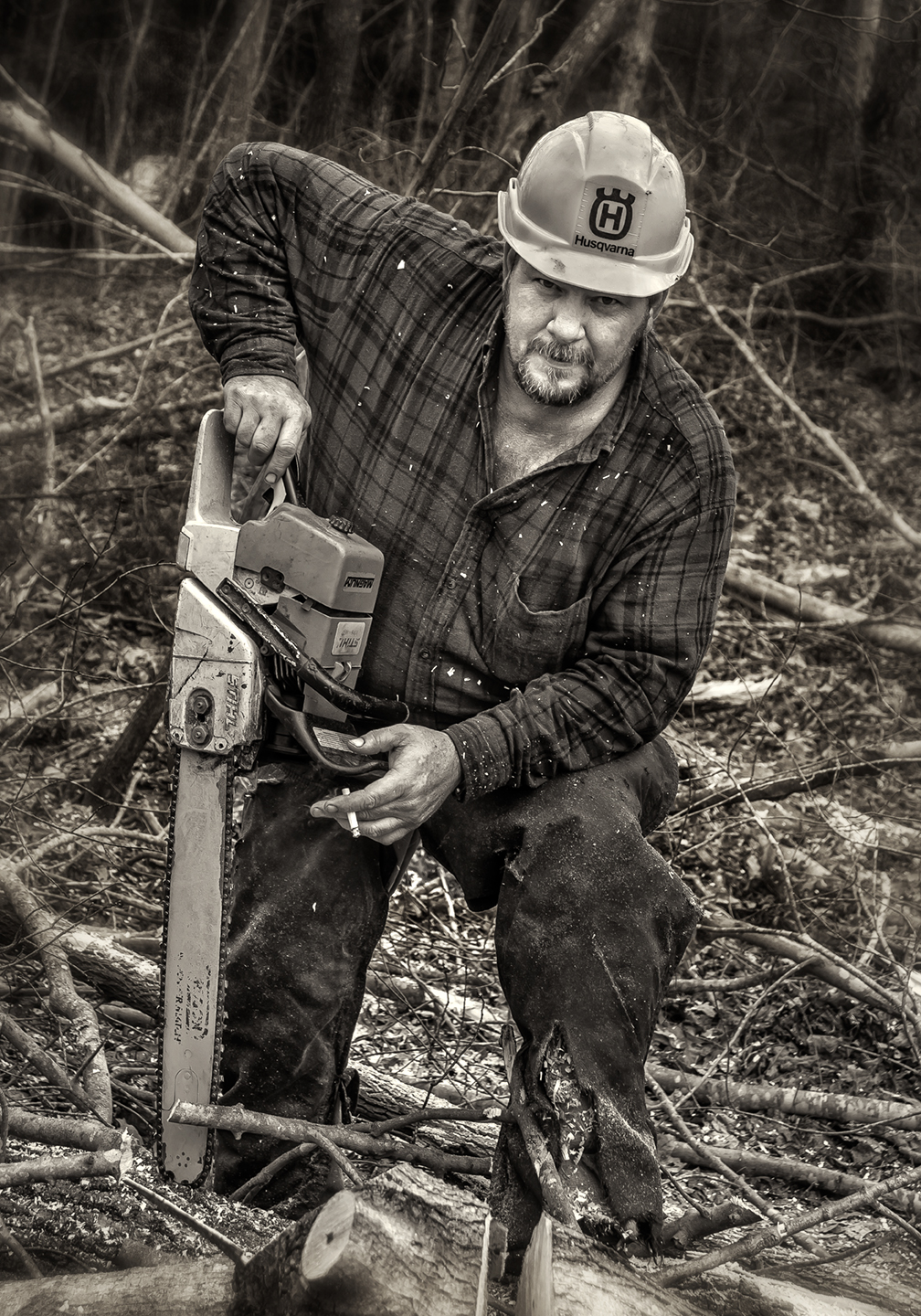 Logger – Dan Routh Photography