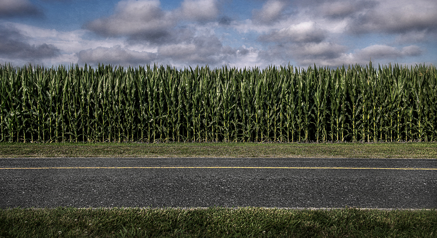 Corn Along the Road – Dan Routh Photography