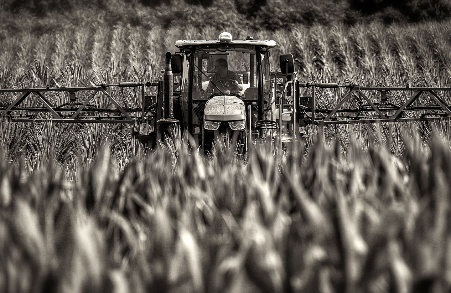 Top Dressing Corn – Dan Routh Photography
