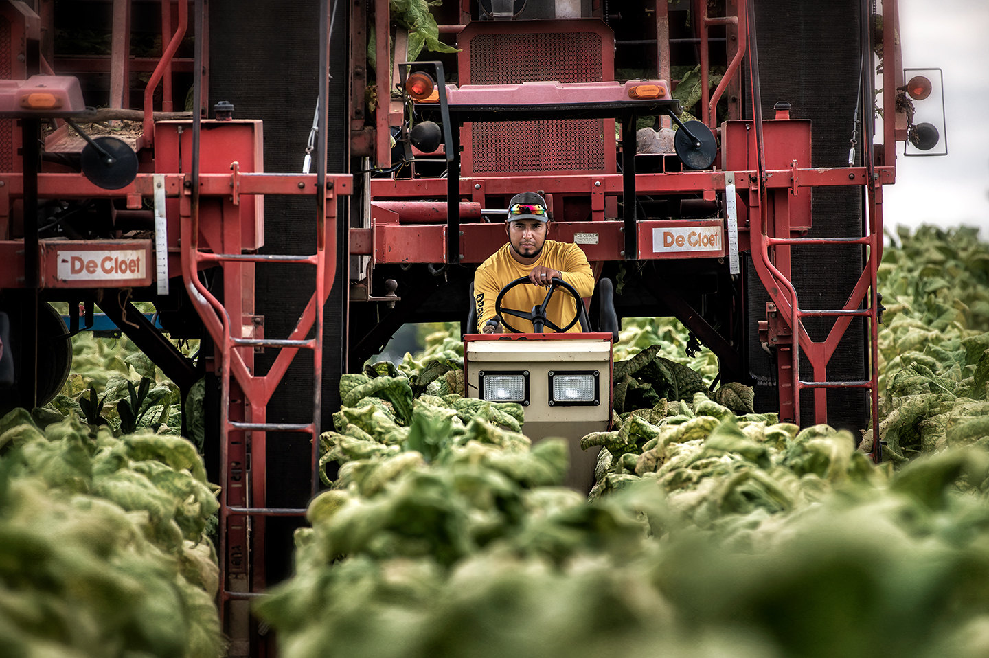 Harvesters in the Field – Dan Routh Photography
