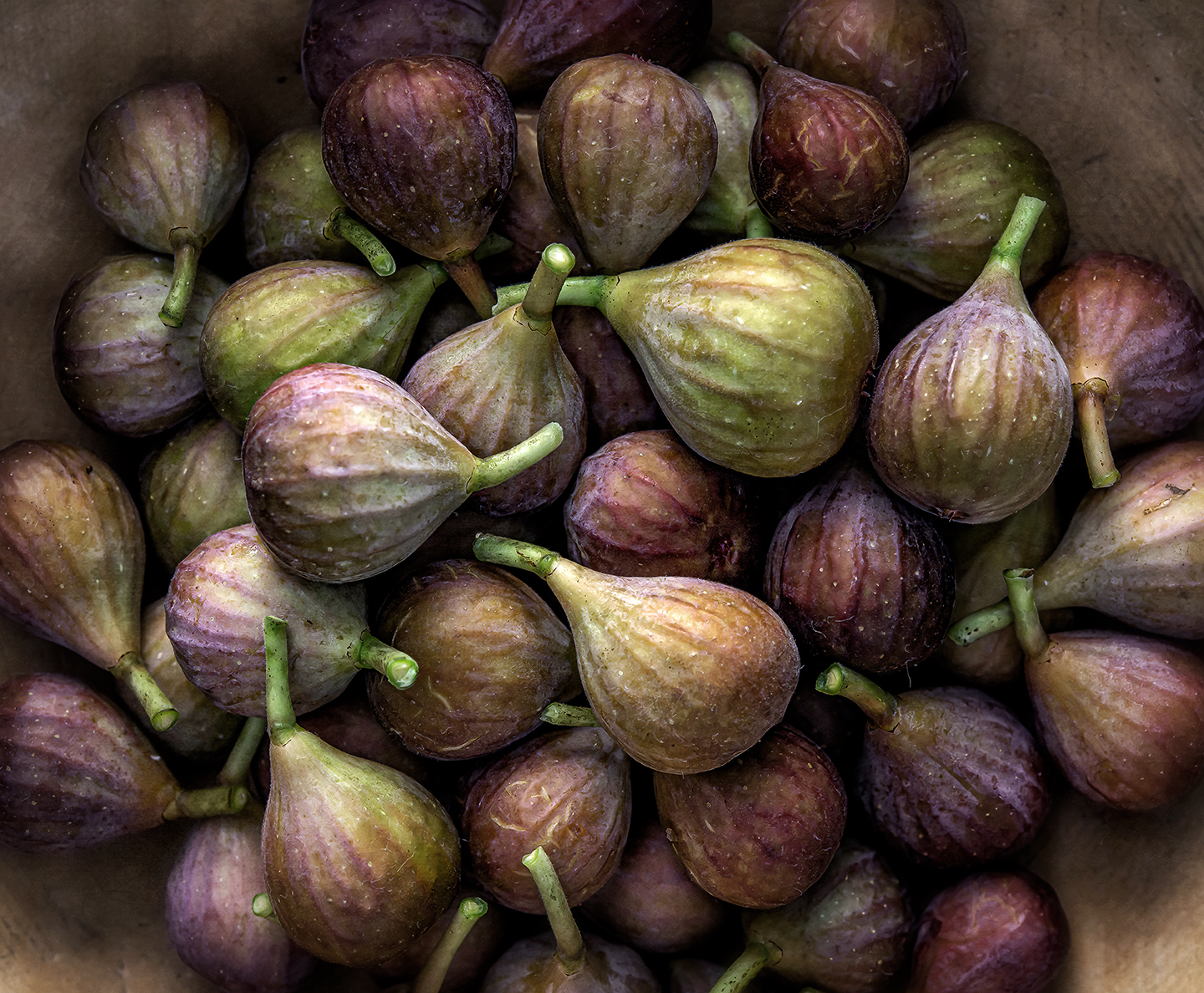 Figs – Dan Routh Photography