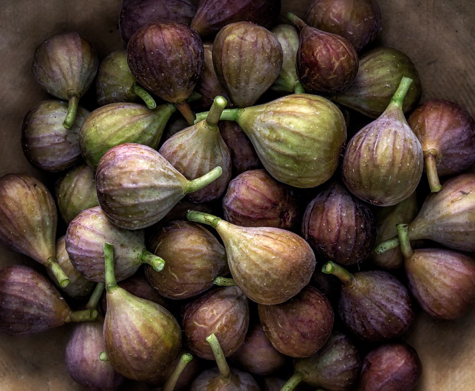 Figs – Dan Routh Photography