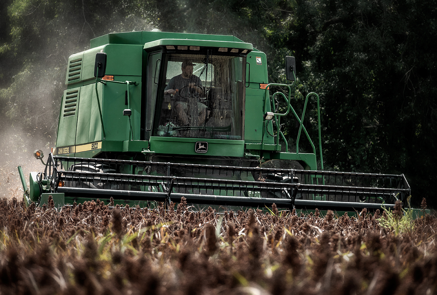 Combining Milo – Dan Routh Photography