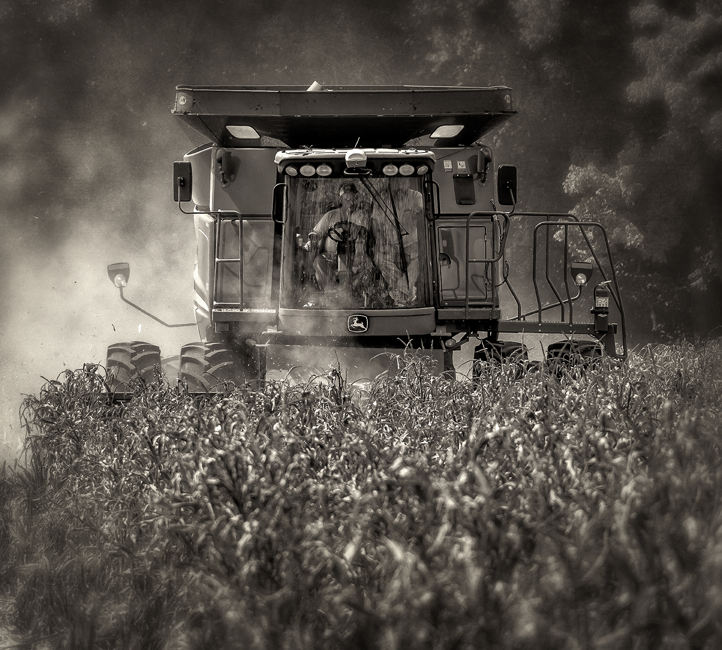 In the Corn Field – Dan Routh Photography