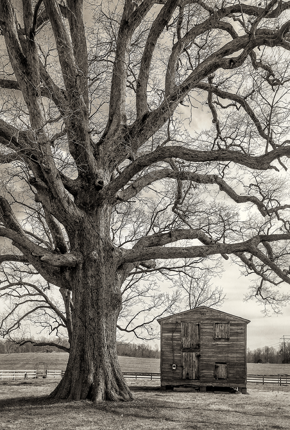 Farm View – Dan Routh Photography