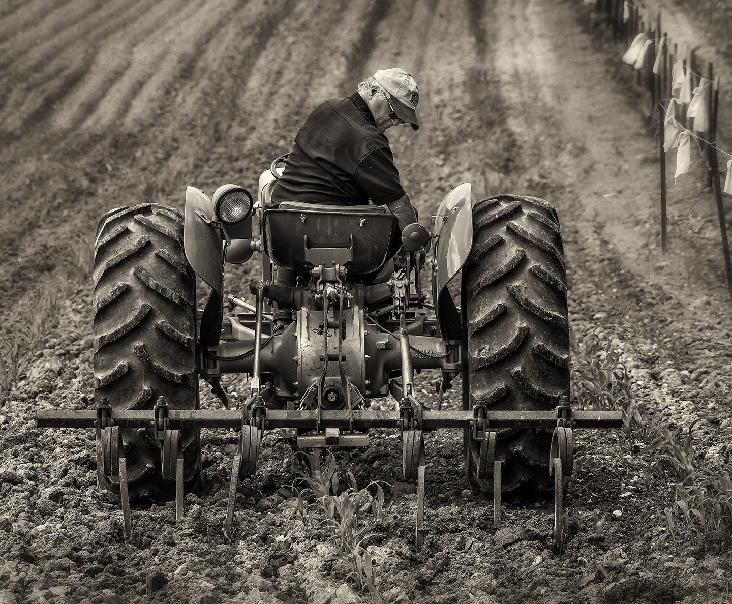 Plowing the Garden – Dan Routh Photography