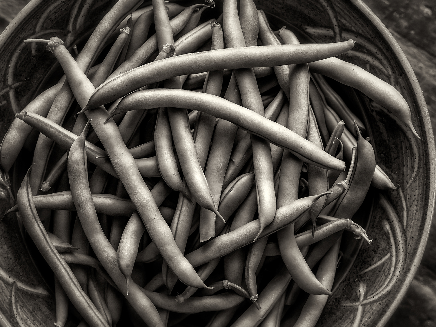 Snap Beans – Dan Routh Photography