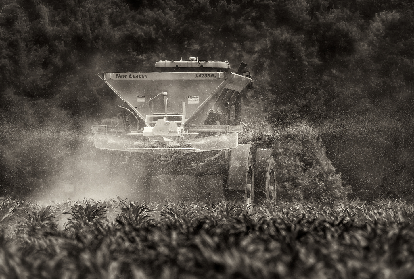 top dressing corn_063023_03 – Dan Routh Photography