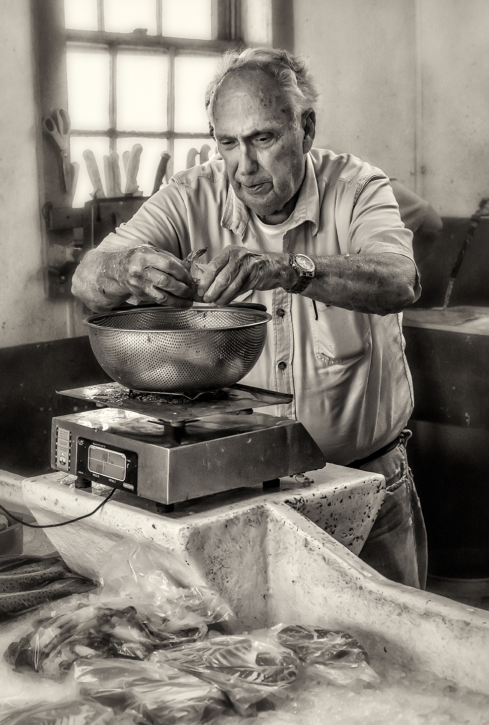 Seafood – Dan Routh Photography