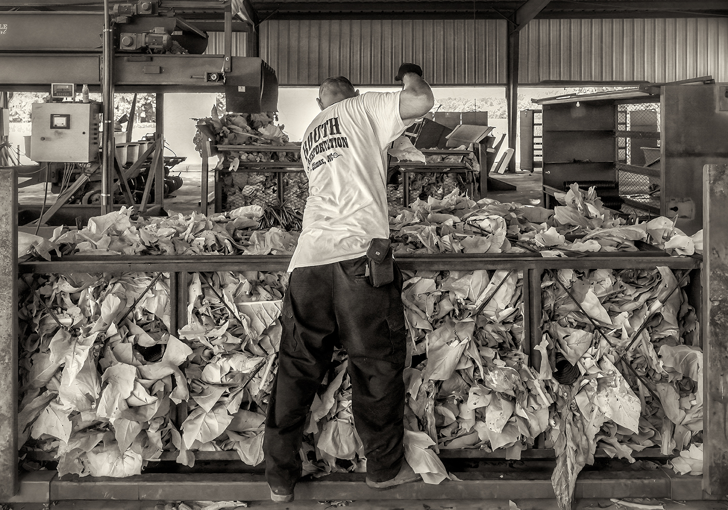 Boxing and Barning Tobacco – Dan Routh Photography
