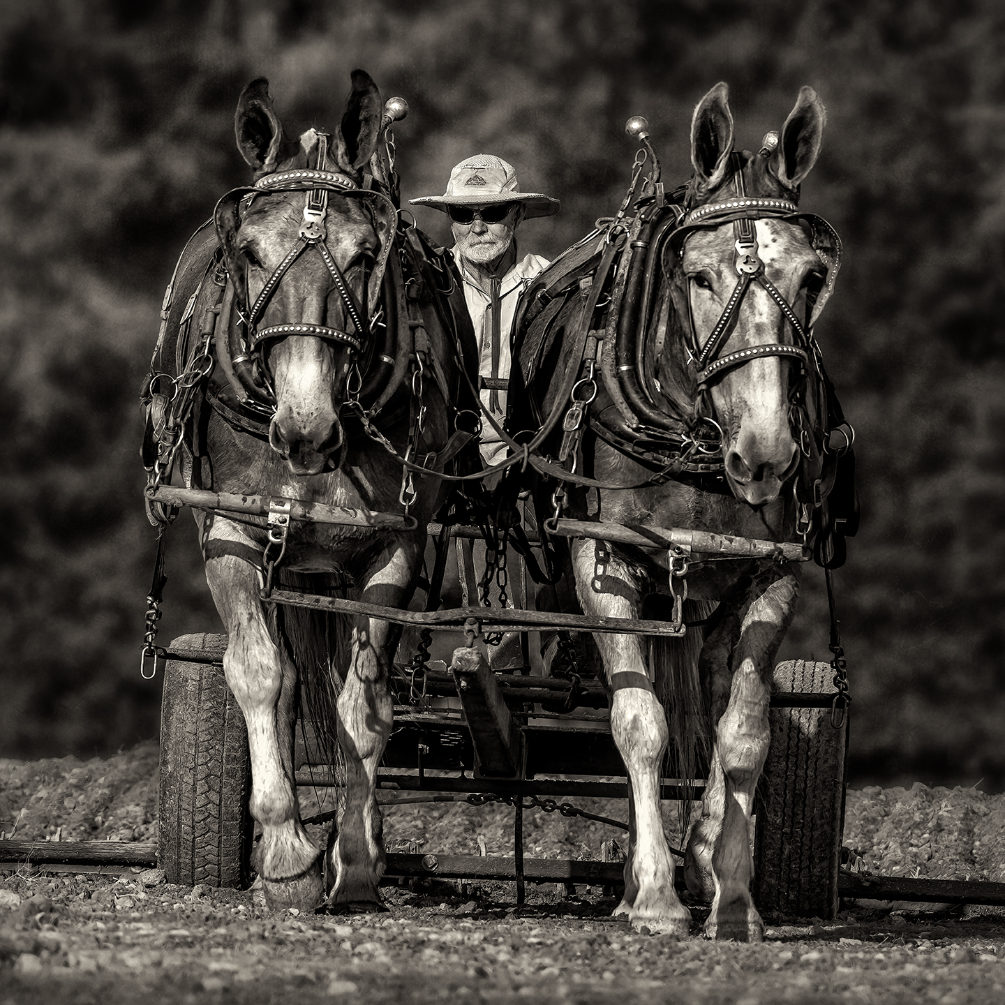 Working Ground – Dan Routh Photography