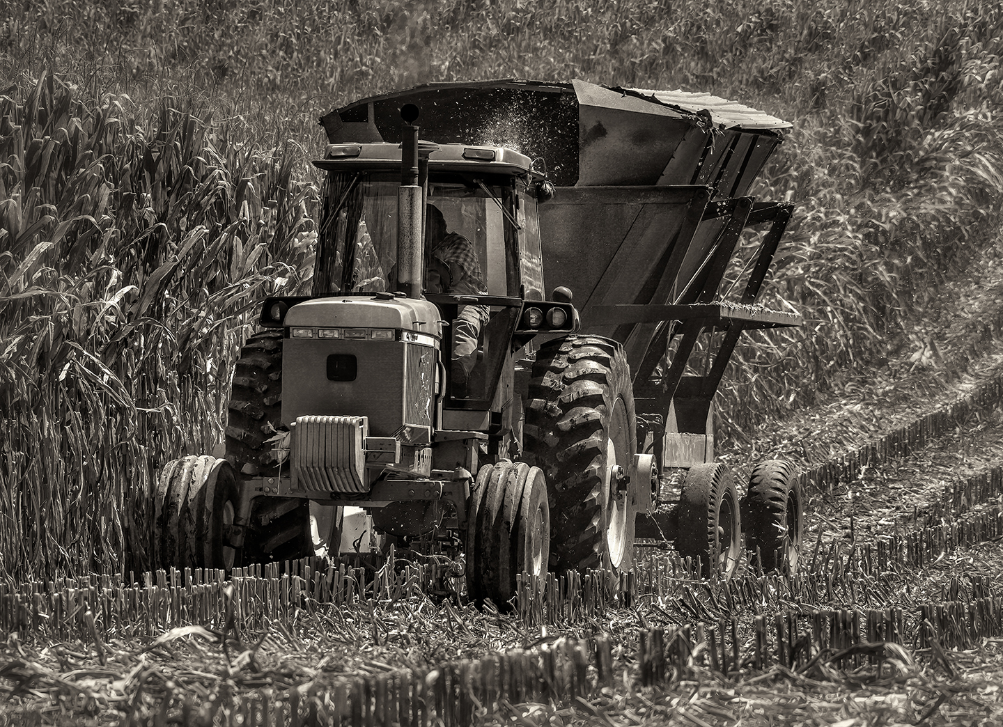 wright silage_090523_01 – Dan Routh Photography