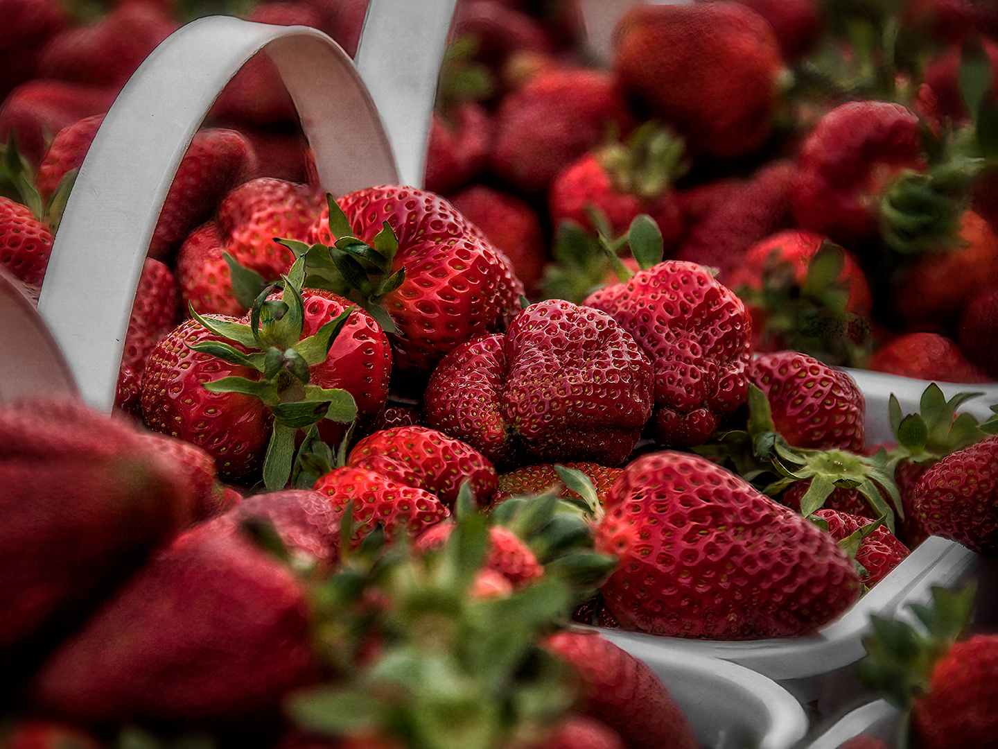 Strawberries – Dan Routh Photography