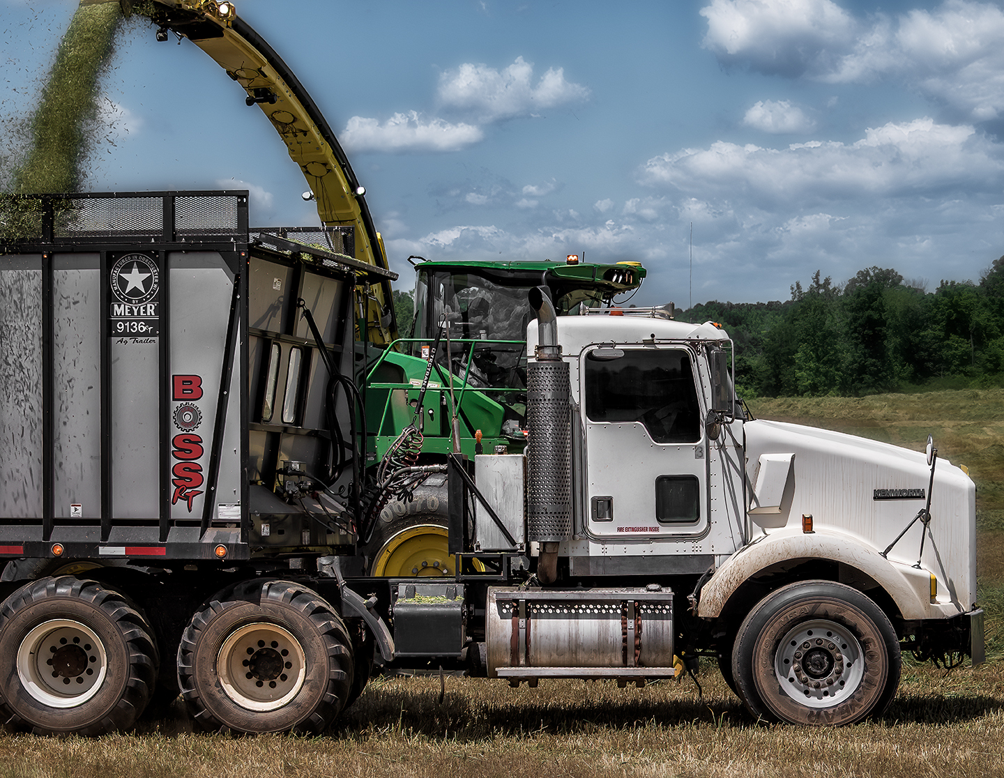 Morning in the Silage Field – Dan Routh Photography