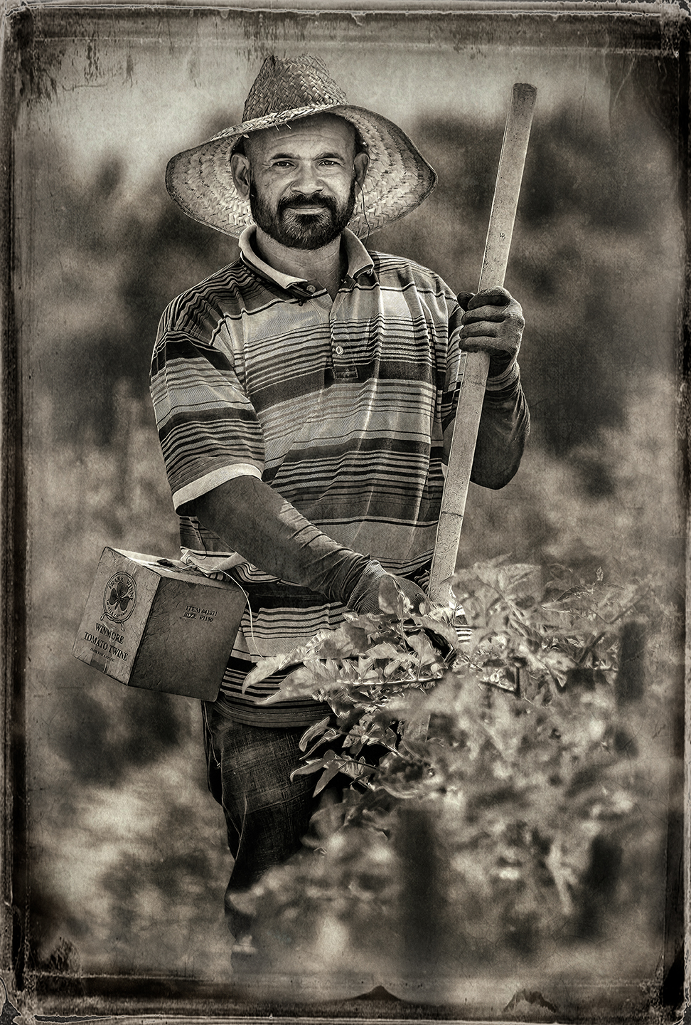 Farm Worker – Dan Routh Photography
