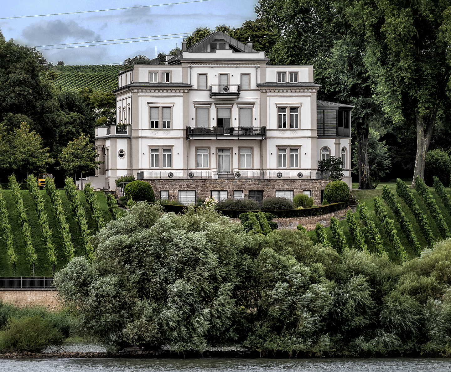 Rhine River Vineyard – Dan Routh Photography