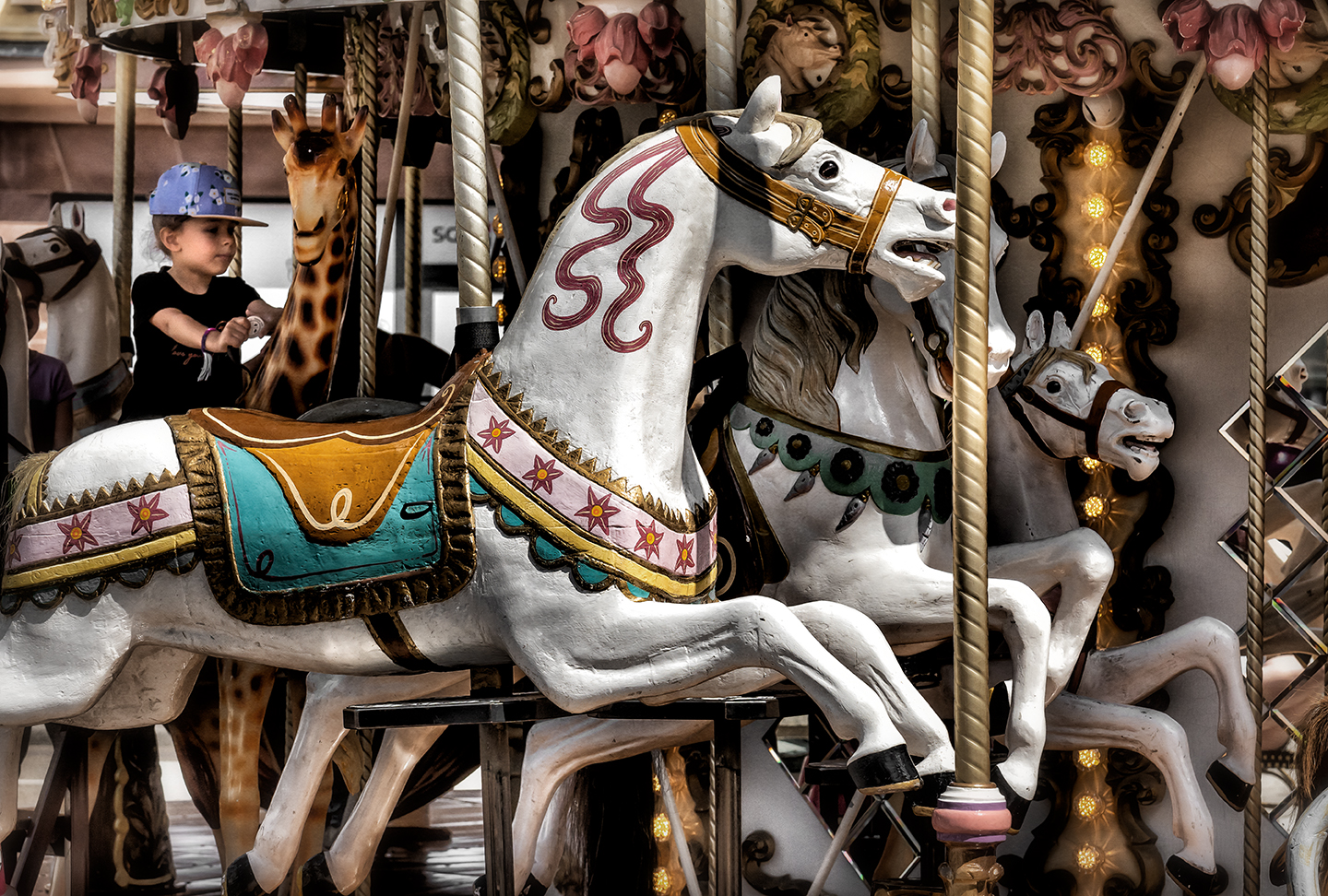 Carousel – Dan Routh Photography