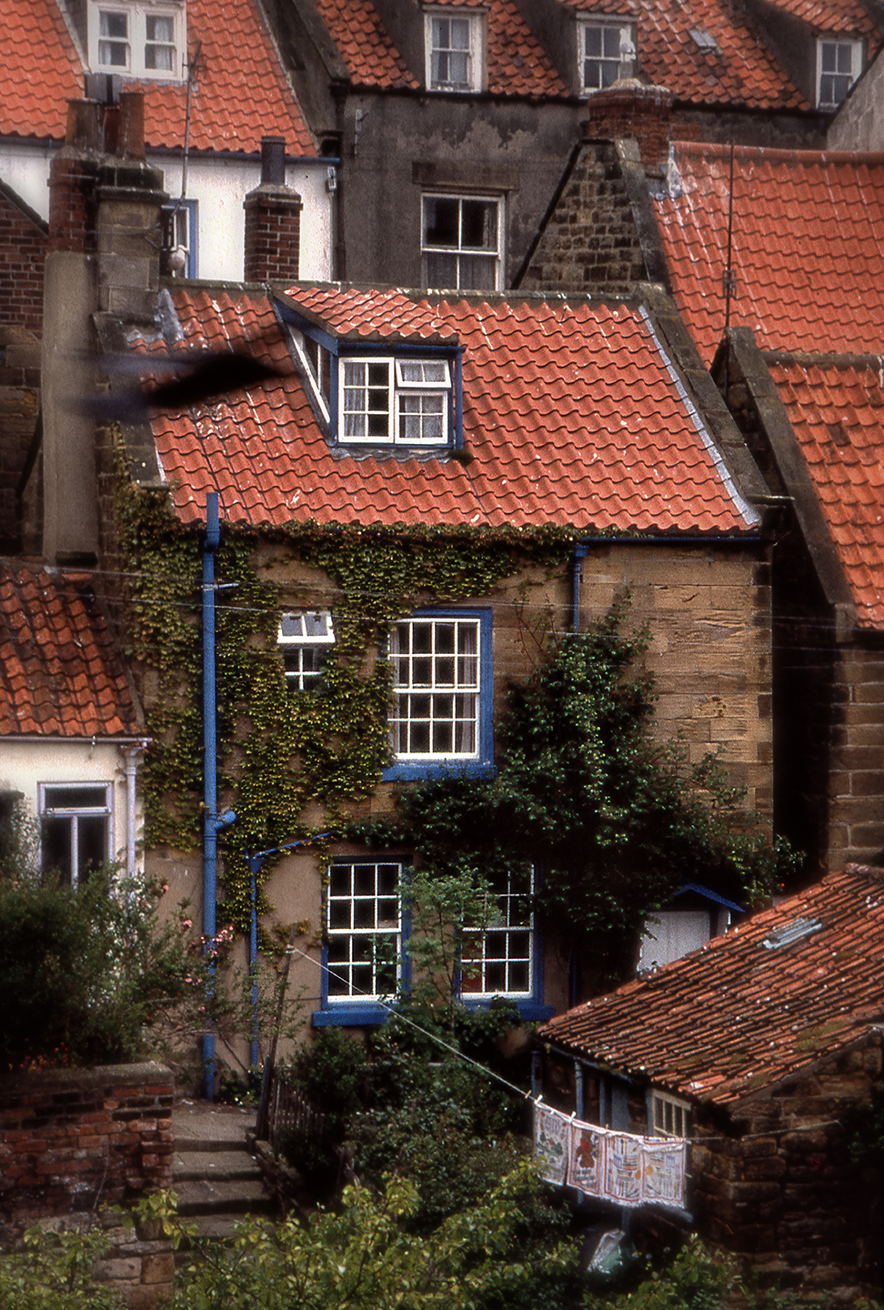 Rooftops – Dan Routh Photography