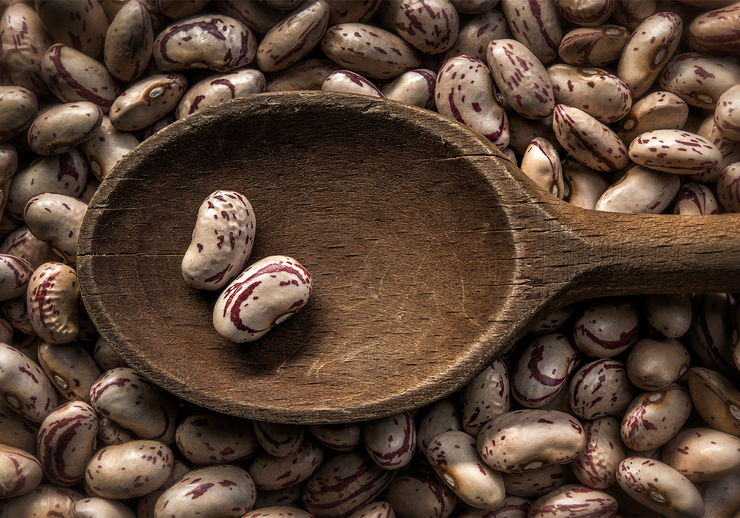 Beans – Dan Routh Photography