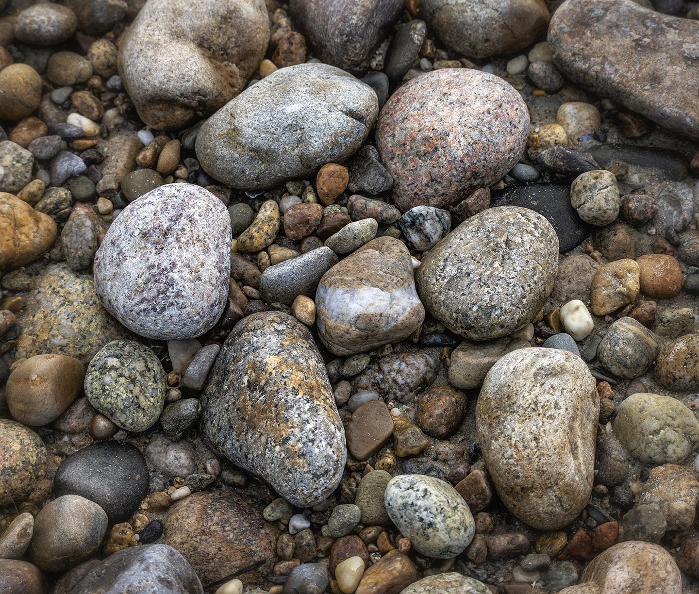 Cape Cod Beach – Dan Routh Photography
