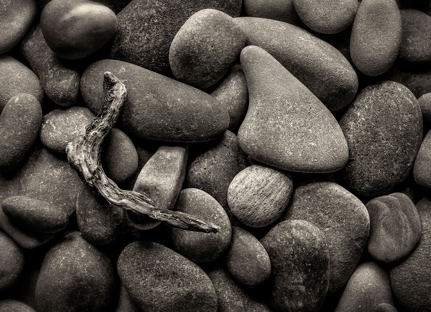 Cape Cod Rocks in B&W – Dan Routh Photography