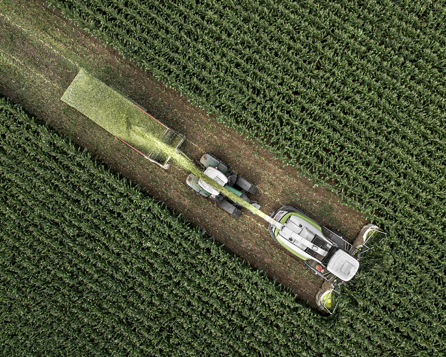 Chopping Corn Silage – Dan Routh Photography